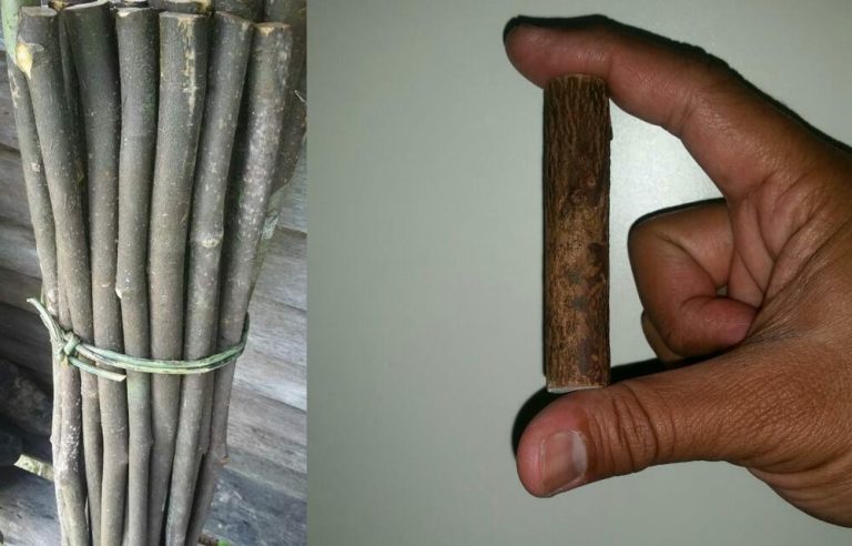 Mistik di sebalik kayu tas, penunduk haiwan & pendinding makhluk halus ...