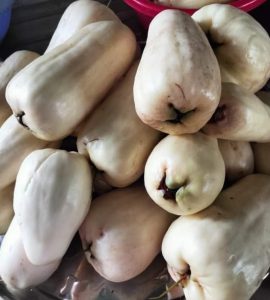 8 Jenis Jambu Sedapnya Tak Terkata - UtusanTV