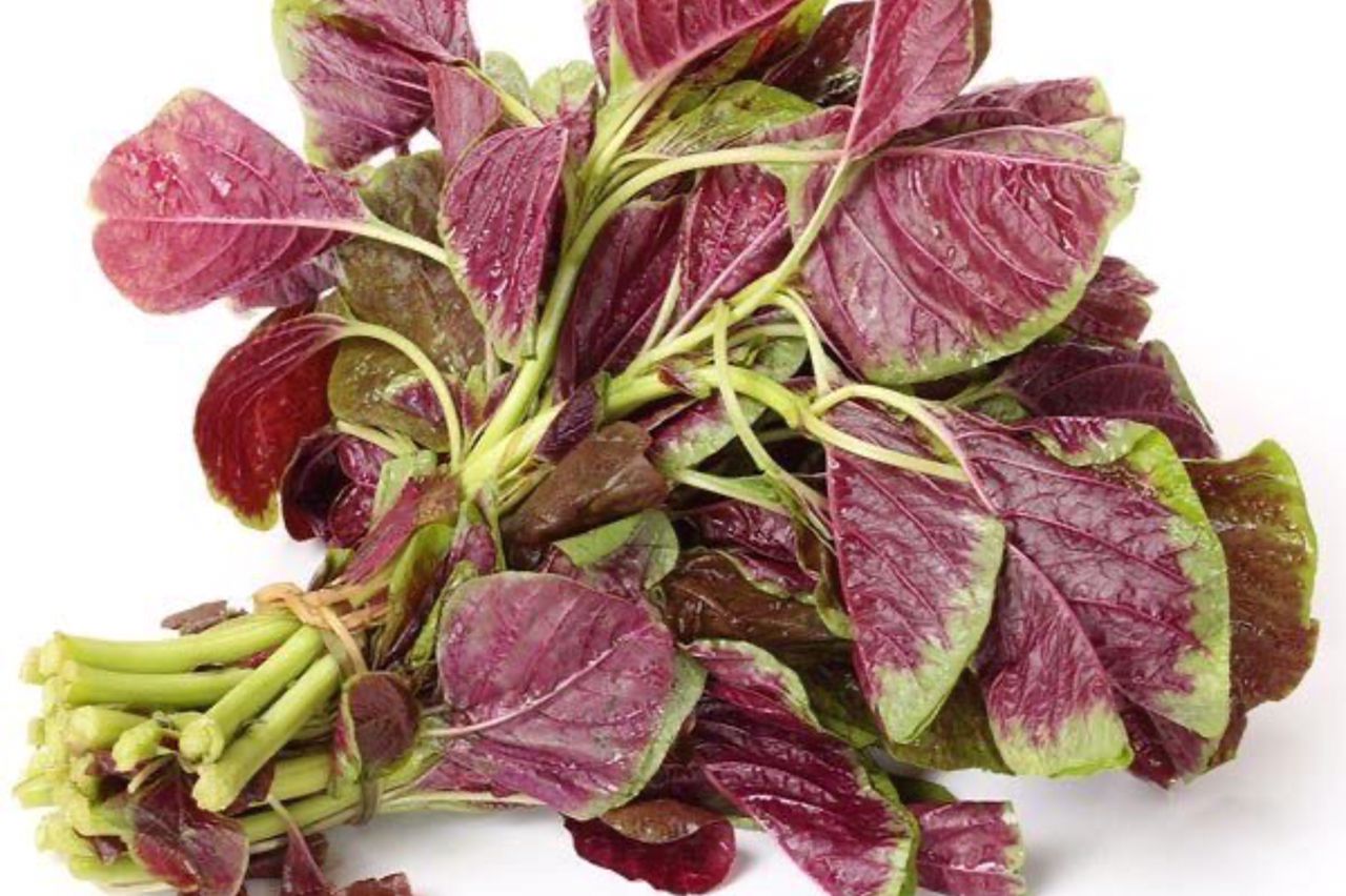 Sayur Bayam Makanan Superfood Banyak Nutrisi, Rugi Kalau Tak Suka ...
