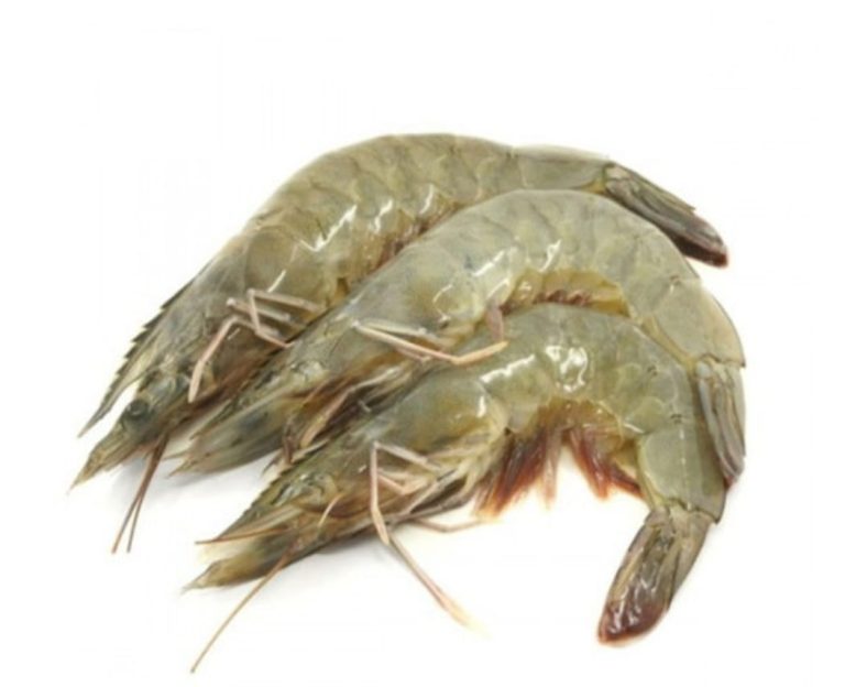 Kenali Jenis Udang, Pelbagai Bentuk Dan Corak - UtusanTV