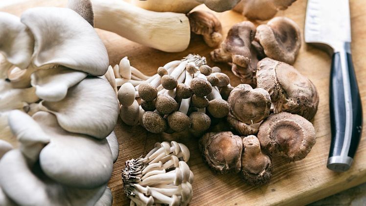 10 Jenis Cendawan Yang Sedap Dan Selamat Dimakan - UtusanTV