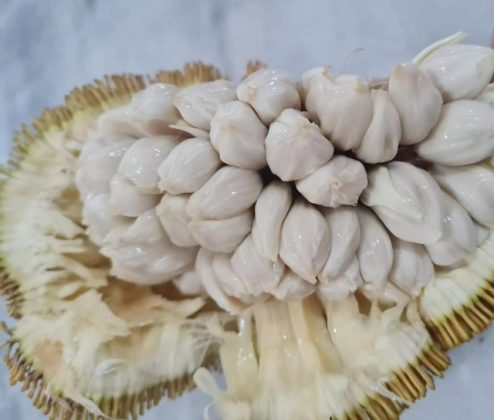Buah Tarap Seakan Cempedak Tetapi Rasanya Seperti Mangga Manis ...