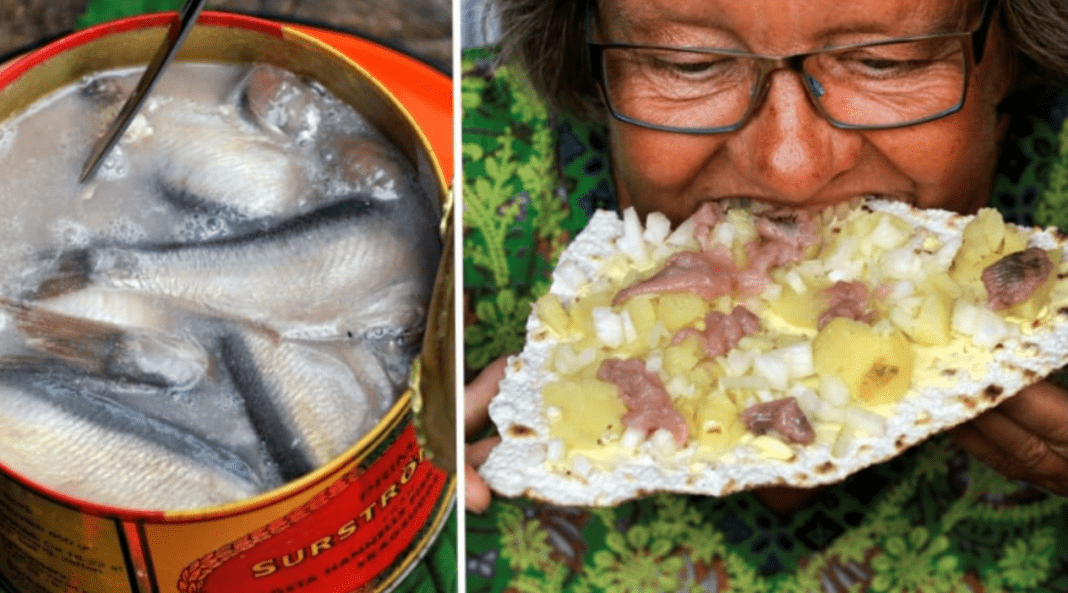 Ikan busuk, keju berulat & larva semut - UtusanTV